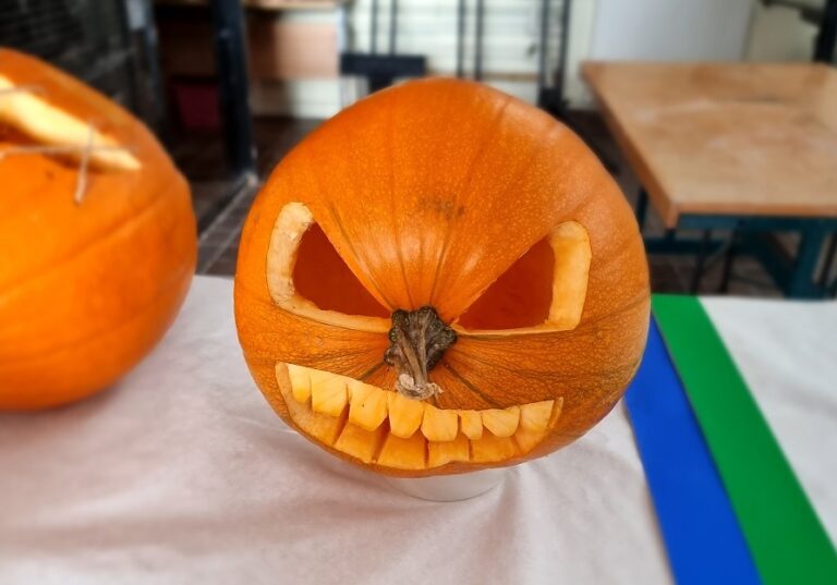 Boo – Bridgnorth Endowed School